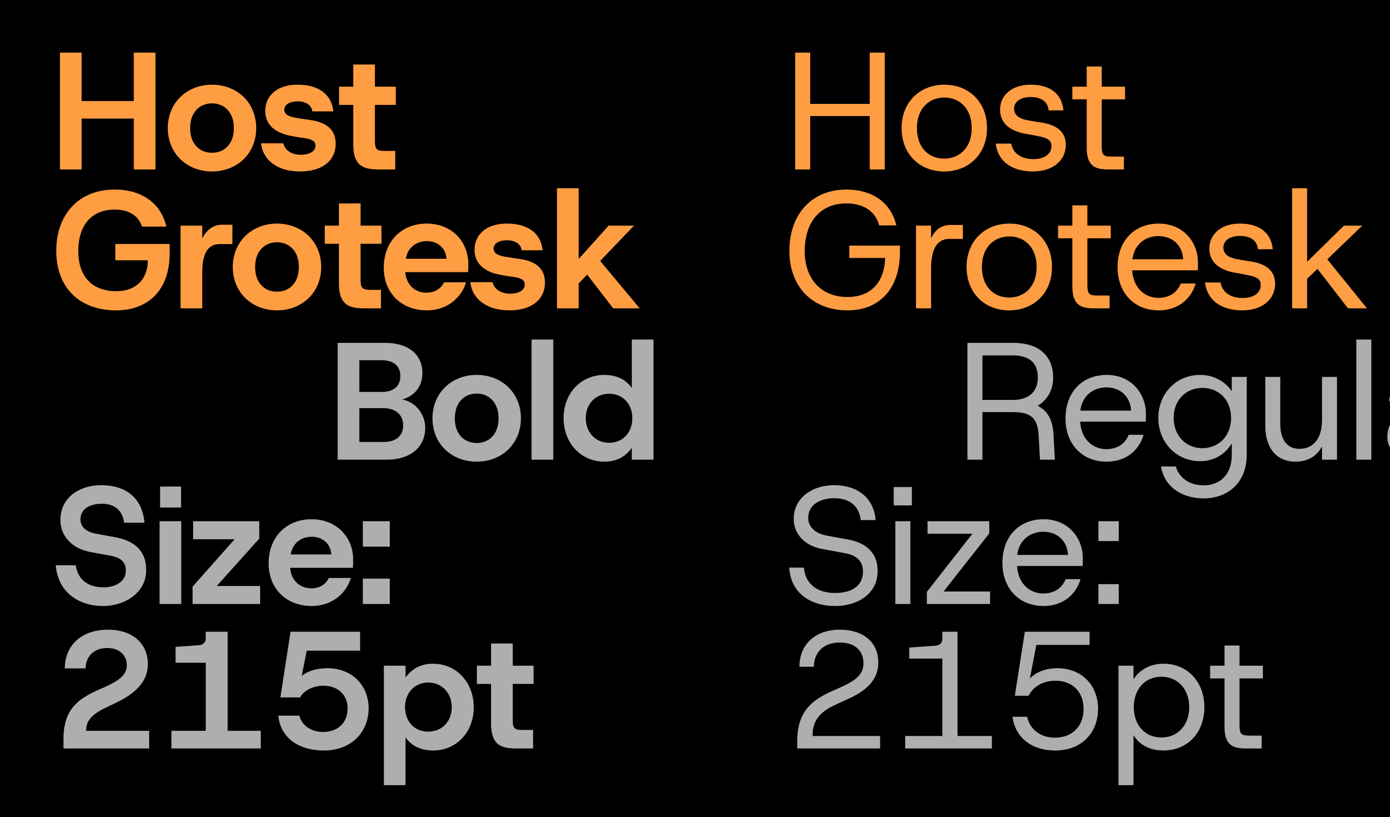 Host Grotesk — Element Type Foundry